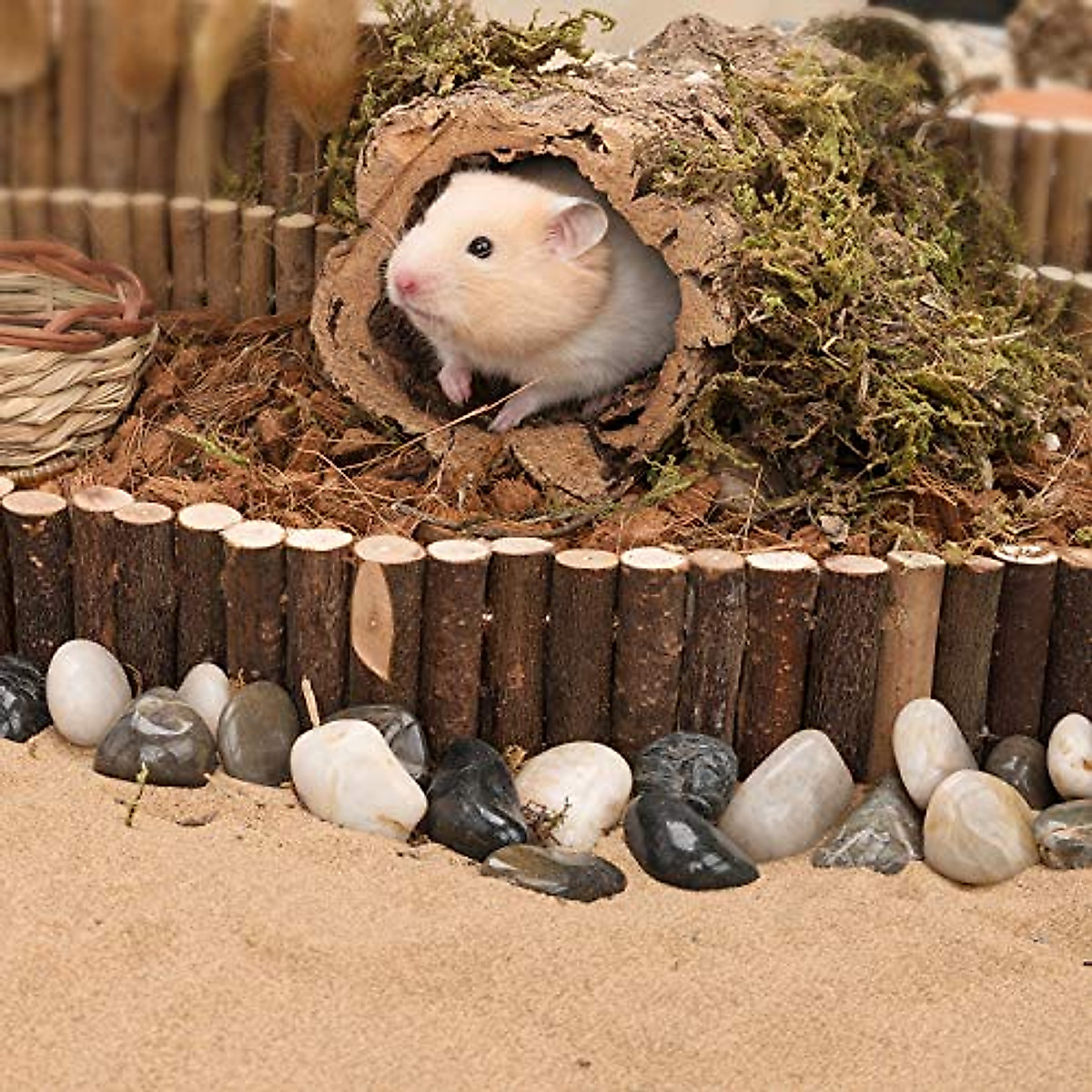 Niteangel Hamster Suspension Bridge Toy - Long Climbing Wooden Ladder for Hamsters Mice Mouse Gerbils Sugar Glider Rat and Other Small Animals (25.6L x 2.8W)