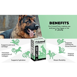 Extend - Joint Care and Probiotic for Dogs. Combo Special!
