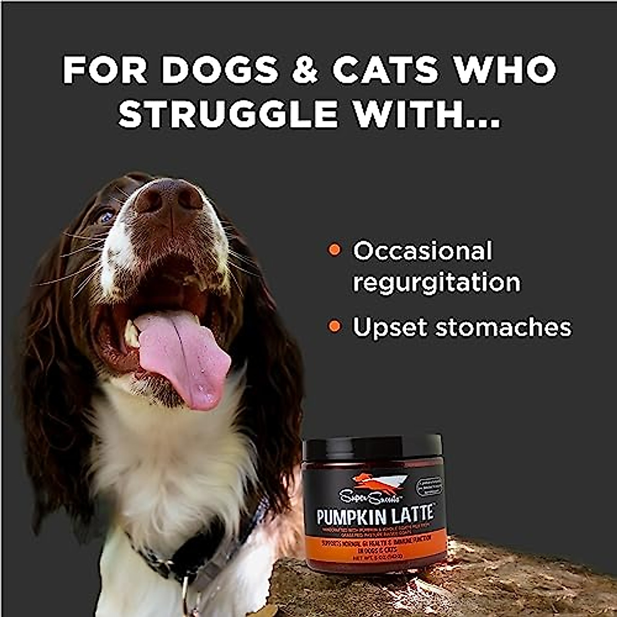 Diggin's Your Dog Super Snouts Pumpkin Latte Digestive Supplement for Dogs and Cats, 5 Ounce - Antibiotic Free, Maintains Healthy Gut, Promotes Stool Consistency