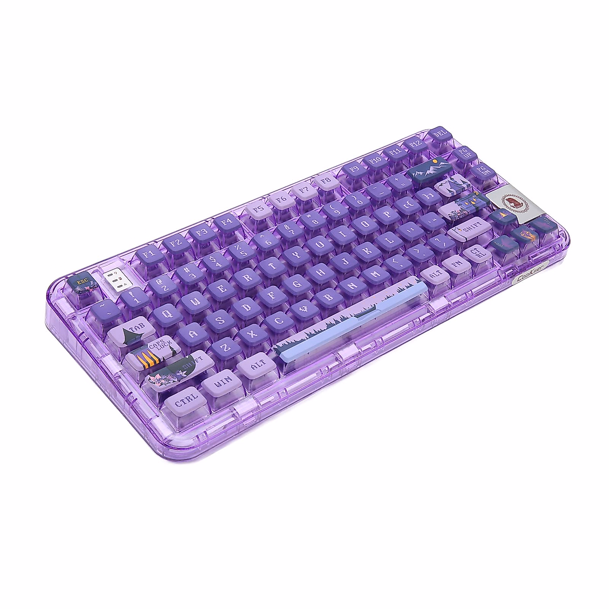 Heayzoki BT Mechanical Keyboard, Wireless RGB Gaming Keyboard, Hot Swappable Triple Modes 2.4G Wired BT Transparent Case Keyboard with 2 Layers Keycaps for Office School