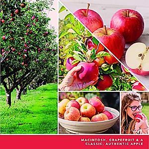 Yankee Candle Fragrance Spheres Odor Neutralizing Scent Beads, Macintosh