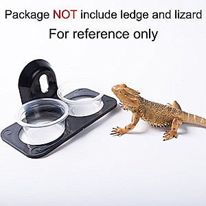 SLSON 100 Pack Gecko Food and Water Cups Gecko Ledge Cups Reptile Worm Bowl Mealworm Feed Feeder for Lizard Leopard Gecko Crested Gecko and Other Small Pets, 1 Oz