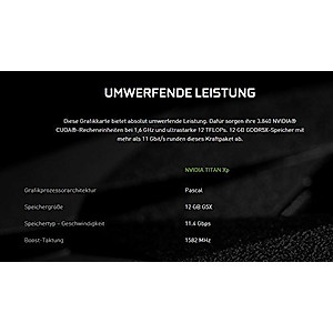 NVIDIA TITAN Xp Graphics Card (900-1G611-2530-000) (Renewed)