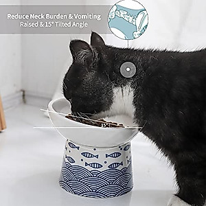 Ceramic Raised Cat Bowls, Elevated Tilted Cat Food and Water Bowls Set, Porcelain Stress Free Pet Feeder Dish for Cats and Small Dogs, Dishwasher and Microwave Safe, Set of 2