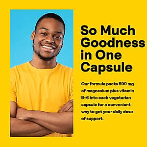 Nature’s Life Renewing Magnesium 500 mg - Magnesium Citrate, Magnesium Malate, Magnesium Oxide Plus Vitamin B-6 - Muscles and Nerves Support - Lab Verified - 275 Servings, 275 VegCaps