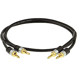 SINGTRONIC Professional 2000 WATTS Complete Karaoke System Package Free: Unlimited YouTube Songs, Built HDMI, Voice Record, Optical/Coax