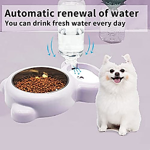 Kathson Double Dog Cat Bowls, Kitten Food and Water Bowl Set Stainless Steel Detachable Puppy Feeder and Automatic Water Dispenser Pet Feeder for Small Size Dog (Purple)