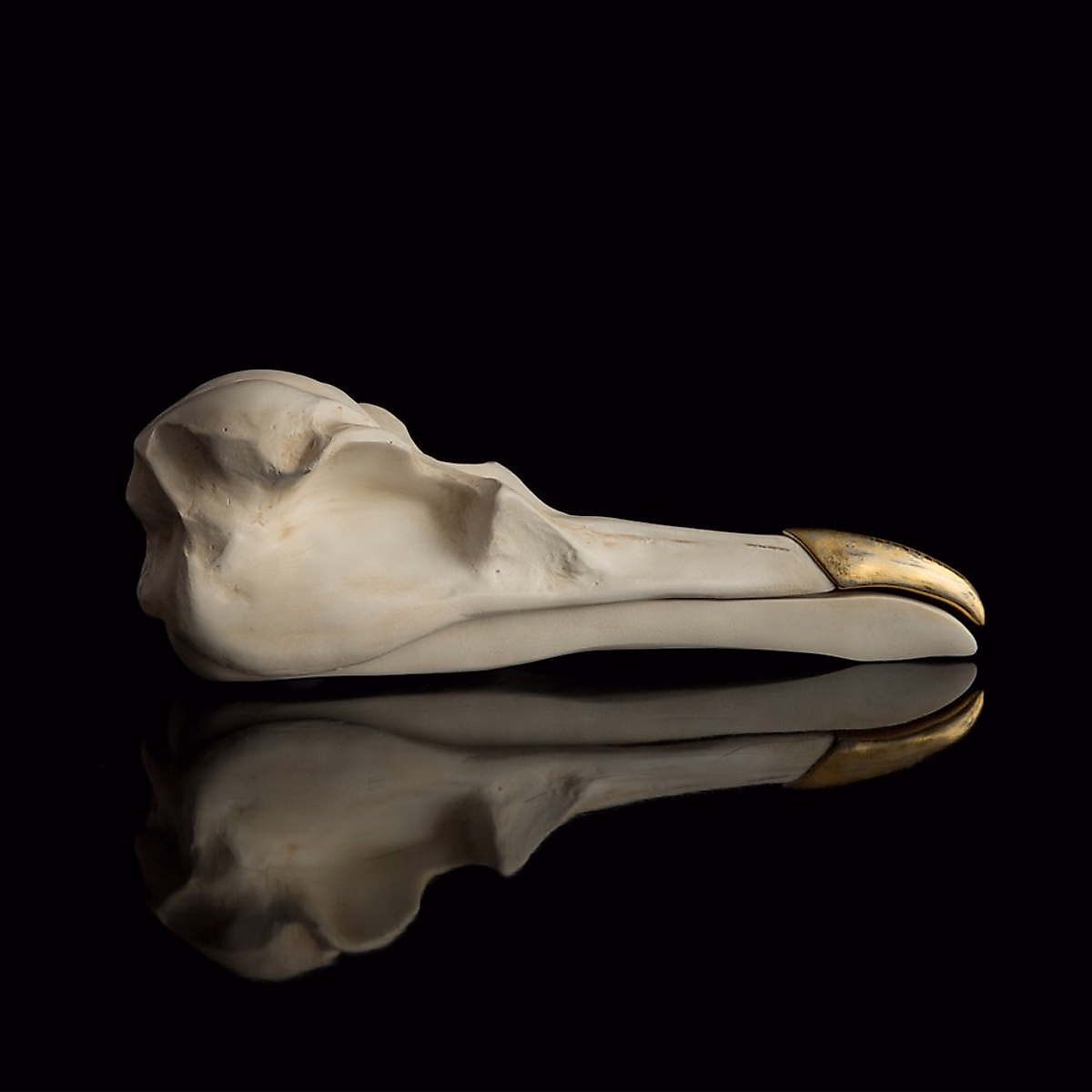 Suck UK | Jewellery Box | Bird Skull Jewellery Organiser or Key Bowl | Gothic Home Decor Ornament | Trinket Box & Trinket Dish For Bedroom | Stand Alternative | Gothic Gifts & Skull Gifts