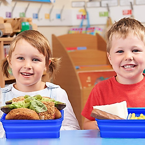 Nuenen Set of 8 Collapsible Food Storage Containers with Lids Silicone Flat Collapsible Bowls for Stacks Travel Camping Meal Prep Container for Kitchen, Freezer Microwave Dishwasher Safe (Rectangular)