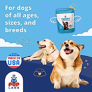 Pup Labs Tummy Essentials Probiotics for Dogs - Eliminate Digestive Dysfunction - Supports Gut Health - Dog Probiotics Support a Happy and Active Life - Made for All Dogs and in The USA, 30 Chews