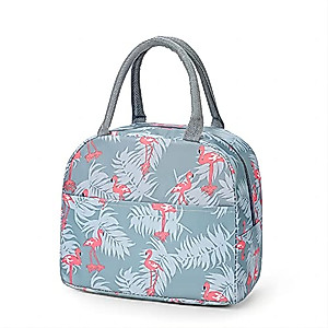 TELLUMO Lunch bag, Insulated Lunch Bag for Women Men Small Lunch Box Container Reusable Leakproof Tote for Office, Work, School, Beach or Travel (Flamingo)