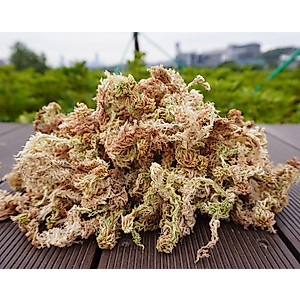 Kapecute Sphagnum Moss 34QT Perfect for Plant Propagation, Great Orchid Potting Mix, Help with Maintain Humidity, 10oz