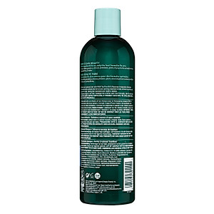 HASK Tea Tree & Rosemary Oil Scalp Care Shampoo - 12 fl oz