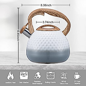 Tea Kettle, Stovetop Teapot, 2.7 Quart, Loud Whistle, Food Grade Stainless Steel and Smooth Wood Pattern Handle, Sophisticated Look for Hiking, Picnic, for Tea, Coffee, Milk (White)