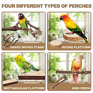 LIMIO 6PCS Bird Perch 2 Grape Stick Paw Grinding Fork Natural Wood Bird Stand 4 Parrot Stand Bird Toys for Parakeets Chewing Exercise Branches, Bird Cage Accessories for Cockatiels, Conure, Budgies