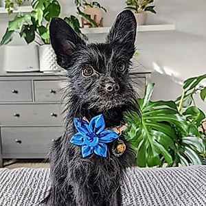 H&K Pet Pinwheel | Octopus Garden (Large) | Velcro Collar Accessory for Dogs/Cats | Fun Pet Pinwheel Collar Attachment | Cute, Comfortable Pet Accessory