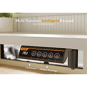 Claiks Standing Desk with Roller Shutter Door, Electric Standing Desk Adjustable Height, Adjustable Standing Desk with Storage Shelves, 48 Inch White