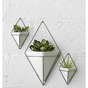 Umbra Trigg Small Wall Display, White-Nickel, Planter Pot, Indoor Outdoor Usage