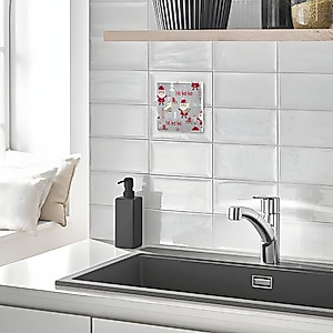 FJDENG Christmas Santa Claus Light Switch Cover,PC Decorative Double Toggle Switch Plate Covers Standard Size 1 Gang,4.56 x4.48 Inch