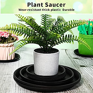 16 Pack Plastic Plant Saucer Black Pot Saucers Round Plant Water Tray Thick Drip Trays for Potted Plants Flower Pot Pan Plant Drainage Tray for Indoor Outdoor Garden, 4 Inch, 6 Inch, 8 Inch, 10 Inch