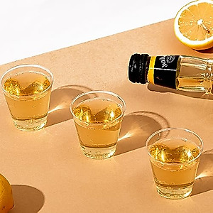 2 OZ 500 Pack Plastic Shot Glasses, Disposable Cups, Wine Tasting Cups, Small Plastic Tumbler for Whiskey, Wine Tasting, Food Samples, Perfect for Halloween, Thanksgiving, Christmas Party