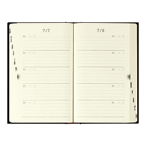 Midori 12396006 Diary for 5 Year Consecutive Use, Door, Black