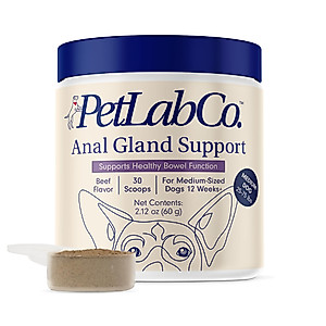 PetLab Co. Anal Gland Support Tailored Powder – Supports Anal Gland Health and Optimizes Stool Consistency - Easy to Use - Helps Target Scooting & Fishy Rears – for Medium Dogs