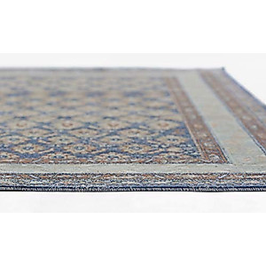 Momeni Lillihan Traditional Indoor Area Rug