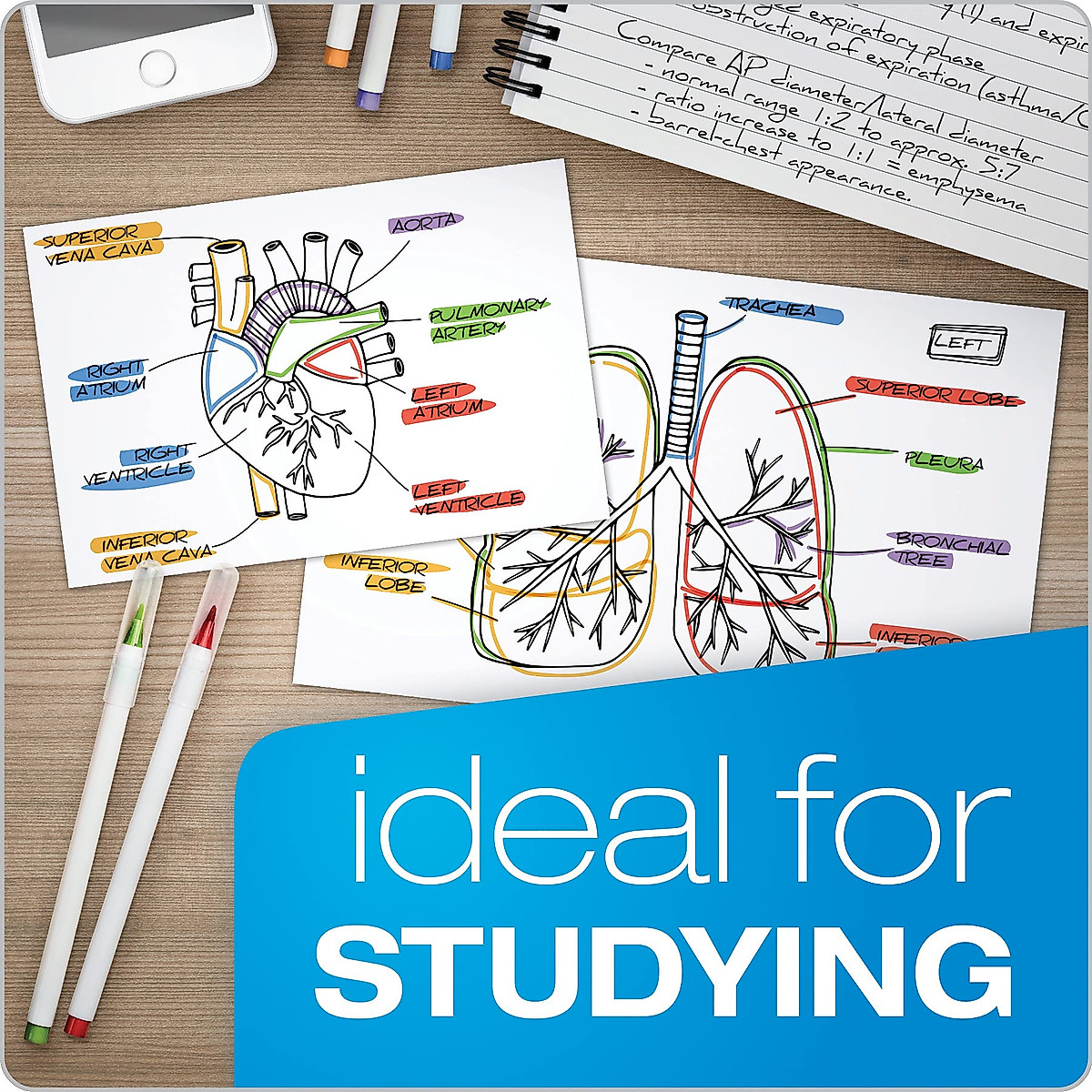 Oxford Index Cards, 500 Pack, 4x6 Index Cards, Blank on Both Sides, White, 5 Packs of 100 Shrink Wrapped Cards (40177)