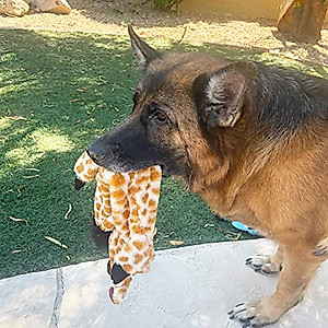 Jalousie Multipack Stuffingless Dog Squeaky Toys Dog Toy Dog with Durable Liner No Stuffing Dog Toy - Dog Toys for Pets Dogs for Small Medium Large Dogs (Medium to Large - 5 Pack)