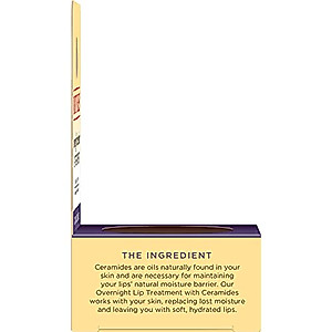 Burt's Bees Lip Care Easter Basket Stuffers, Moisturizing Overnight Intensive Treatment Spring Gift, for All Day Hydration, Ultra Conditioning Moisturizer, 0.25 Ounce (Packaging May Vary)