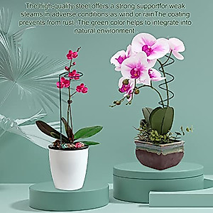 Plant Support Stakes, 6 Packs Plant Stakes for Indoor and Outdoor Plants Plant Support for Potted Plants Orchid Lily Dahlia Clematis Rose Flowers Stem