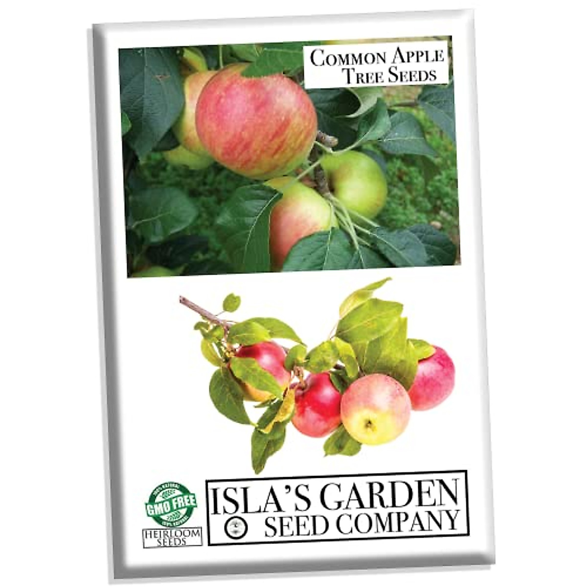 Common Apple Tree Seeds for Planting, 15+ Fruit Tree Seeds Per Packet, (Isla's Garden Seeds), 70-90% Germination in Good Conditions, Malus pumila, Botanical Name: Malus pumila, Great Home Garden Gift