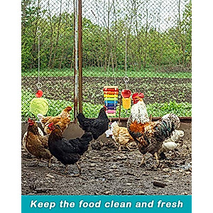 Woiworco 4 Packs Chicken Toys for Hens in Coop, Chicken Xylophone Toy with Mirror, Vegetable Hanging Feeder and Chicken Swing Toys Chicken Supplies Chicken Coop Accessories for Your Chicken Gift