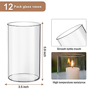 Devilfire 12Pcs Glass Cylinder vases for Centerpieces, 6 Inches Tall Flower Vases Wedding Decorations,Bulk Cylinder Flower& Plant Vases,Hurricane Candle Holder for Table Shelf, Party.