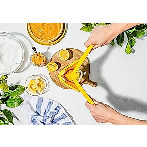 Dreamfarm 10" Lemon Fluicer | Easy Squeeze Manual Lemon Juicer | Citrus Juicer That Folds Flat for Space-Saving Storage | Lemon Squeezer with Sideways Pivot to Increase Leverage + Reduce Effort Needed