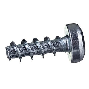 Bosch Parts 2603490021 Torx Oval-Head Screw