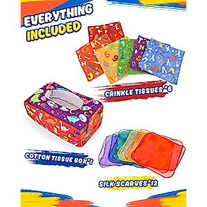 DINORUN Baby Toys 6 to 12 Months - Montessori Toy for Babies and Toddlers Tissue Box Learning Toy for 6 Months and up – Educational High Contrast Development STEM Toy - Baby Gift