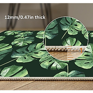 Oerdan 24"x36" Area Rugs - Loop Pile Washable Rug, Anti Slip Tropical Leaves Palm Leaves Rugs for Living Room, Bedroom Area Rugs