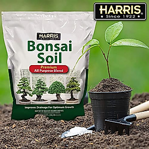 Harris Bonsai Soil, All Purpose Premium Blend for Outstanding Growth, 2qt