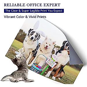 Ink Cartridge for HP 61XL 61 XL Ink Cartridge Combo Pack Remanufactured for HP Envy 5530 Ink Cartridges for HP Envy 4500 5535 OfficeJet 4630 2620 4635 DeskJet 1000 1010 (1 Black, 1 Tri-Color)