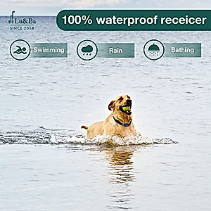 Lu&Ba Dog Shock Collar, Rechargeable Dog Training Collar with Remote 3000ft Waterproof E Collar with 3 Safe Mode Beep Vibration and 16 Shock Level for 10-110lb Small Medium Large Dogs