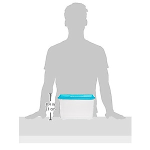 Lee's Kritter Keeper, Medium Rectangle w/Lid, Label, Colors may vary