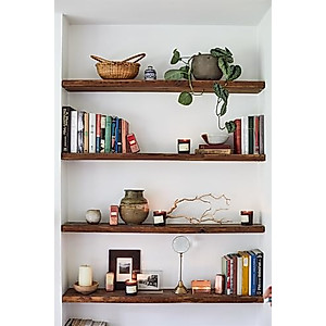 Paddywax Library Collection William Shakespeare Scented Soy Wax Candle, 6.5-Ounce, Paprus, Palm & Eucalyptus