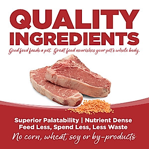 Nutri Source Pure Vita Grain Free Beef & Red Lentils, 25-Pound