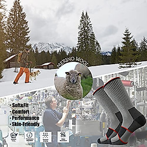 Ortis Men's Merino Wool Cushion Crew Socks with Moisture Wicking Control Light Weight Breathable for Outdoor Hiking Cycling(Mix Color2 L)