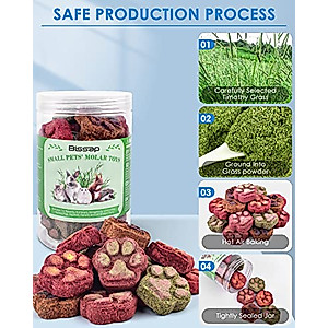 Bissap 20PCS Bunny Chew Toys, Mixed Natural Timothy Hay Rose Carrot Fruit Chinchillas Chewing Toys and Treats for Rabbits Bunnies Guinea Pigs Hamsters Gerbils and Other Small Animals Molar Snacks