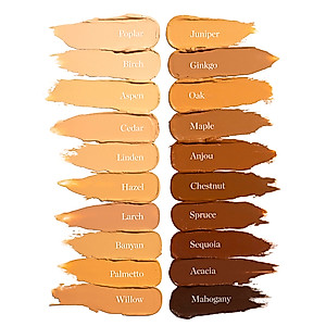 Ogee Sculpted Complexion Foundation Stick (Oak 5.5N - Medium Beige, Golden Undertones) Full Coverage Foundation Makeup - Instantly Balance & Even Complexion - 70% Organic Ingredients