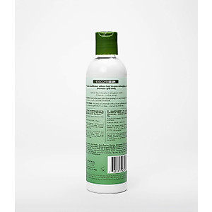 EDEN BodyWorks Peppermint Tea Tree Conditioner | 8 oz | Refresh & Soothe Scalp, Moisturize & Detangle Hair - Packaging May Vary