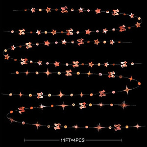 52Ft Rose Gold 14th Birthday Decorations Number 14 Circle Dot Star Garland Metallic Hanging Streamer Banner Backdrop for Girls Happy 14 Year Old Fabulous Birthday Fourteen Anniversary Party Supplies